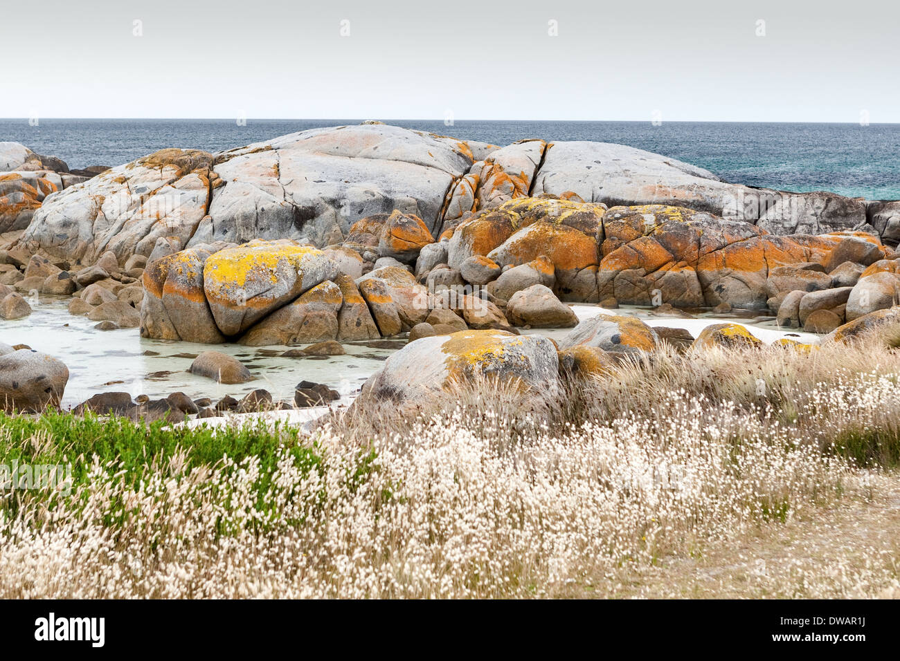 Garden Bay of Fire, aka larapuna, with lichen on granite rocks leading ...