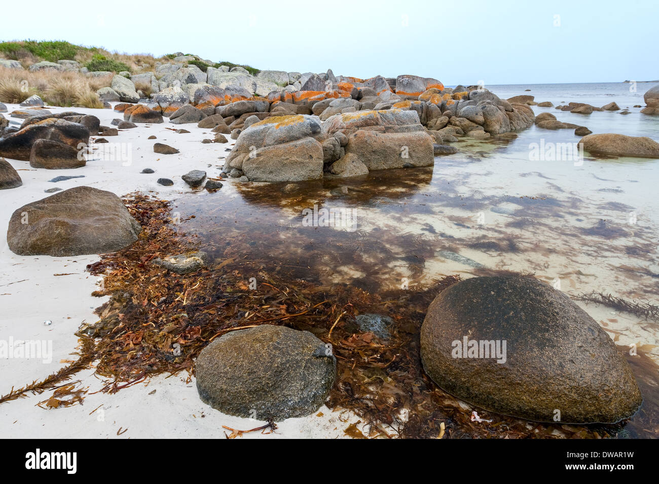 Garden Bay of Fire, aka larapuna, with lichen on granite rocks leading ...