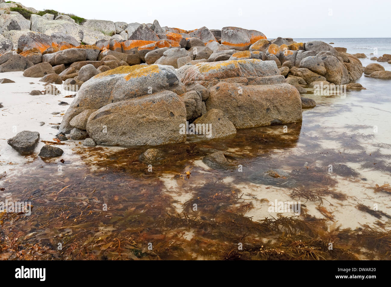 Garden Bay of Fire, aka larapuna, with lichen on granite rocks leading ...