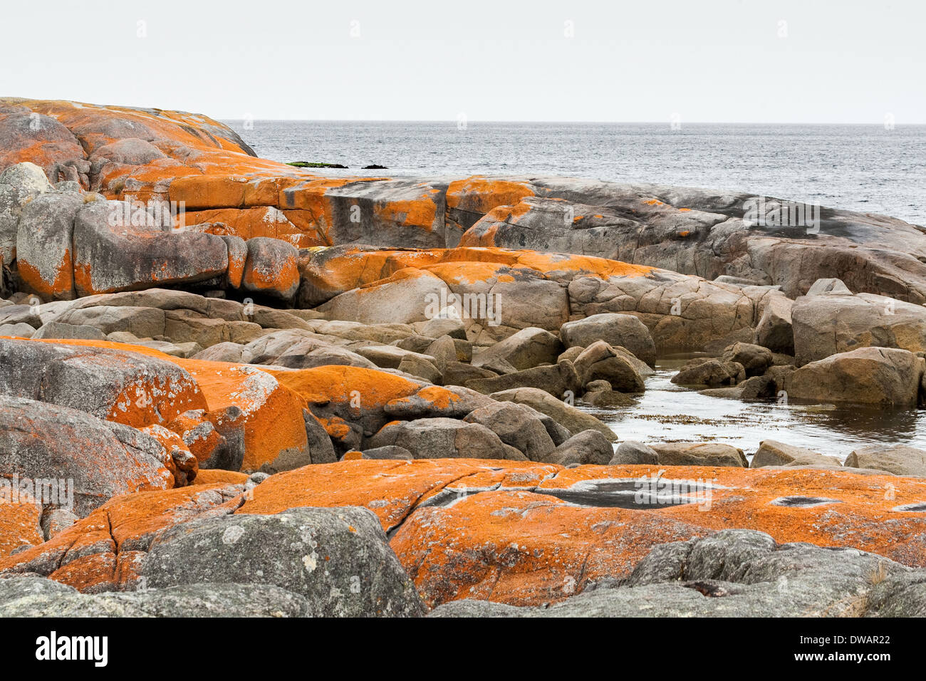 Garden Bay of Fire, aka larapuna, with lichen on granite rocks leading ...