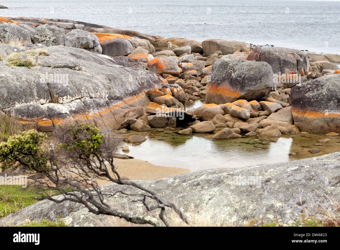 Garden Bay of Fire, aka larapuna, with lichen on granite rocks leading ...