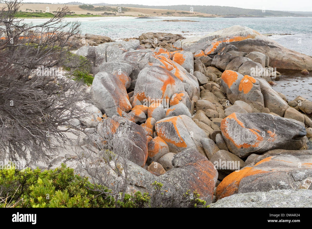 Garden Bay of Fire, aka larapuna, with lichen on granite rocks leading ...