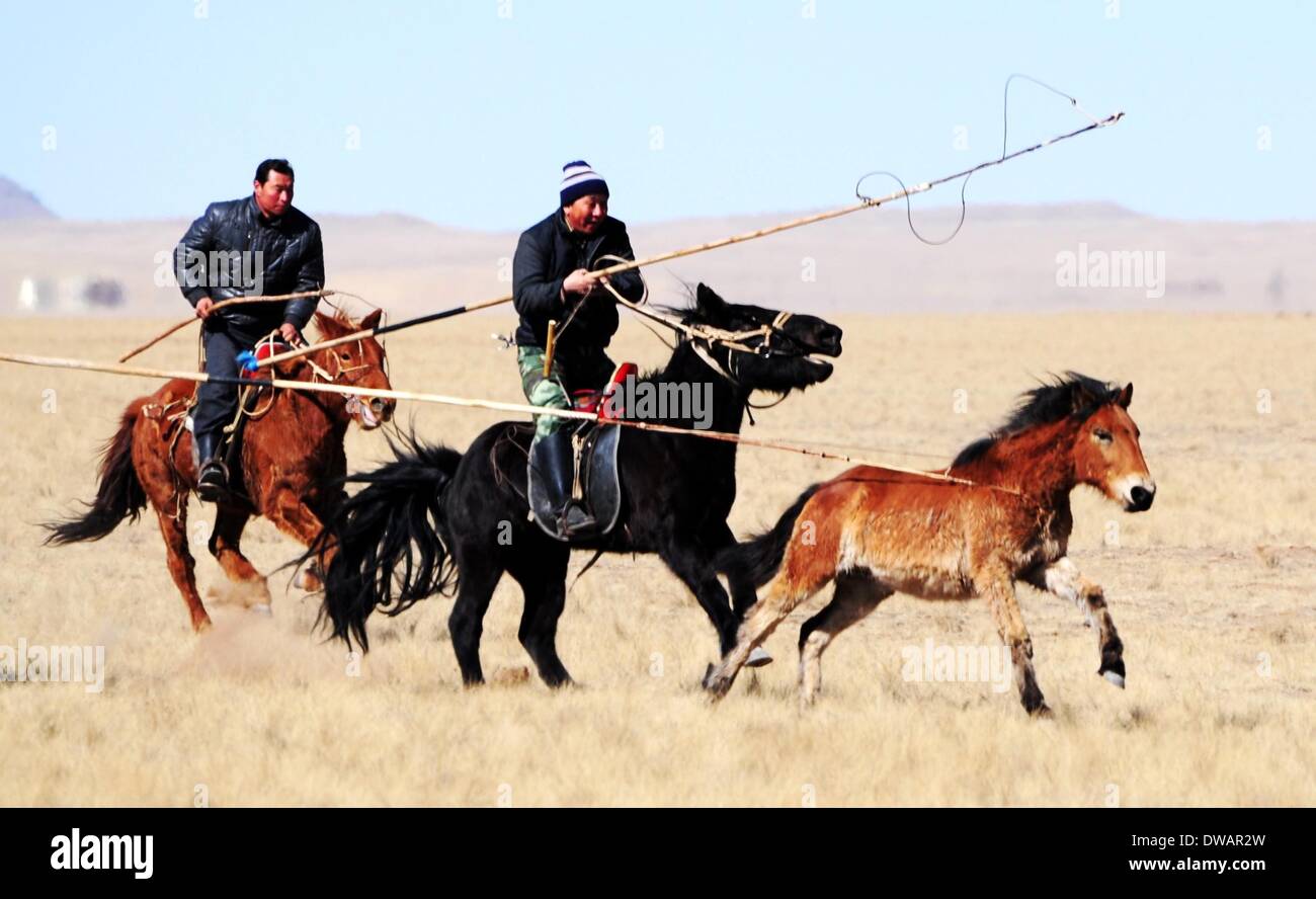 Bayannur, China's Inner Mongolia Autonomous Region. 4th Mar, 2014 ...
