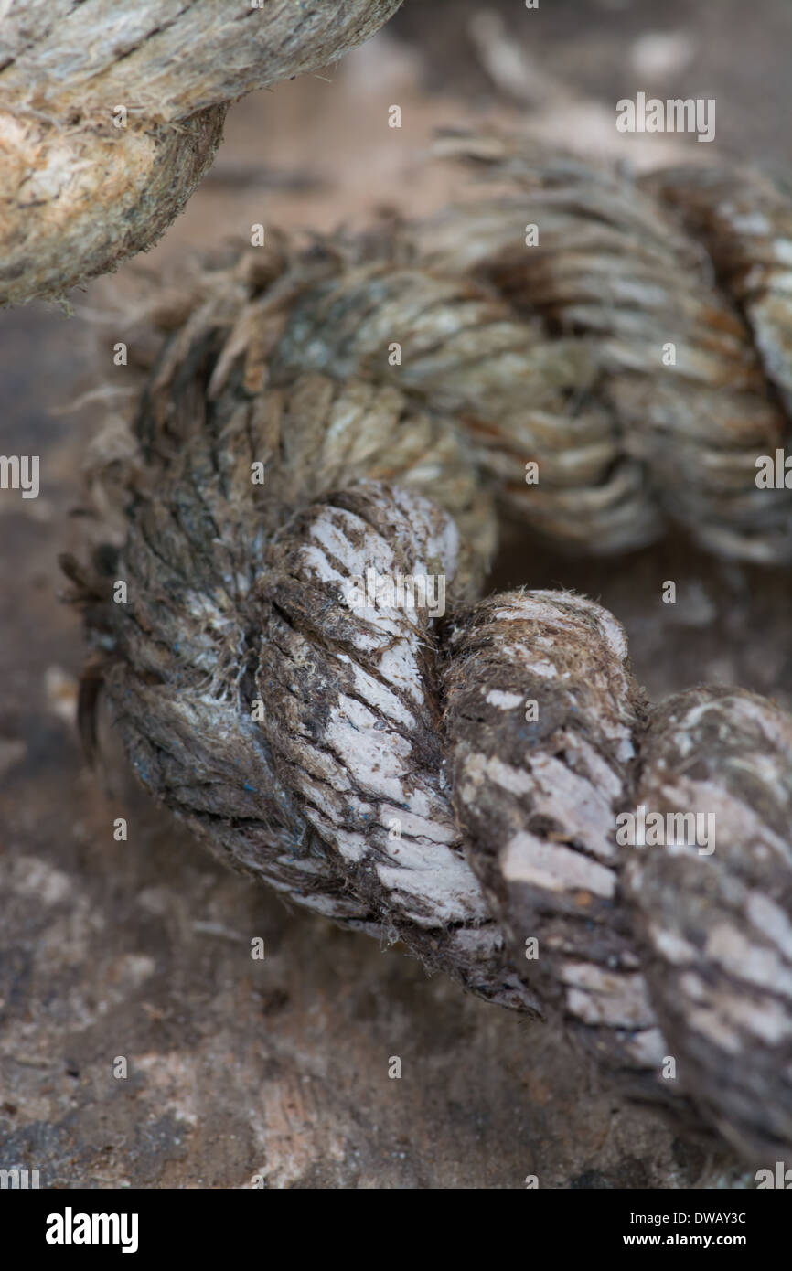 Close-up detail of braided old rope as used as part of a 'castaway ...