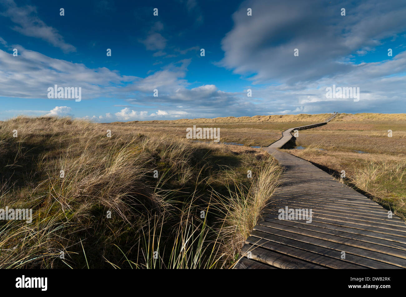 Gronant Dunes Local Nature Reserve at Prestatyn North Wales Stock Photo ...