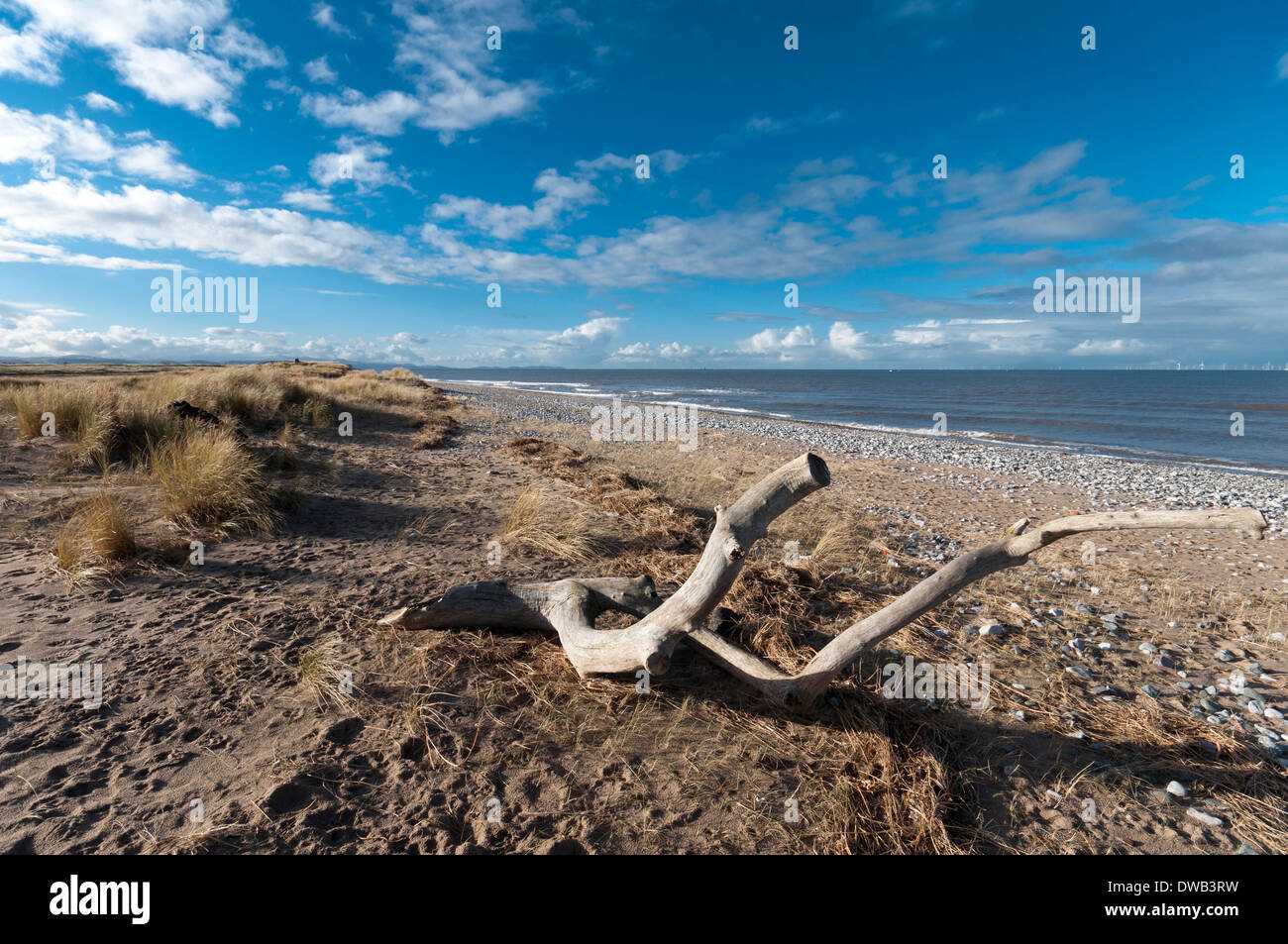 Gronant Dunes Local Nature Reserve at Prestatyn North Wales Stock Photo ...