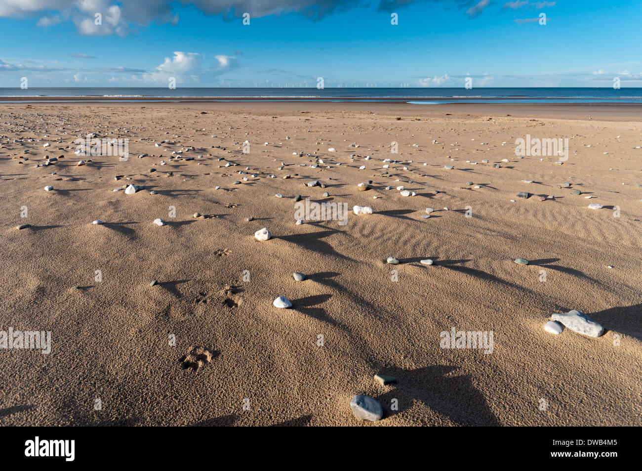 Gronant Dunes Local Nature Reserve at Prestatyn North Wales Stock Photo ...