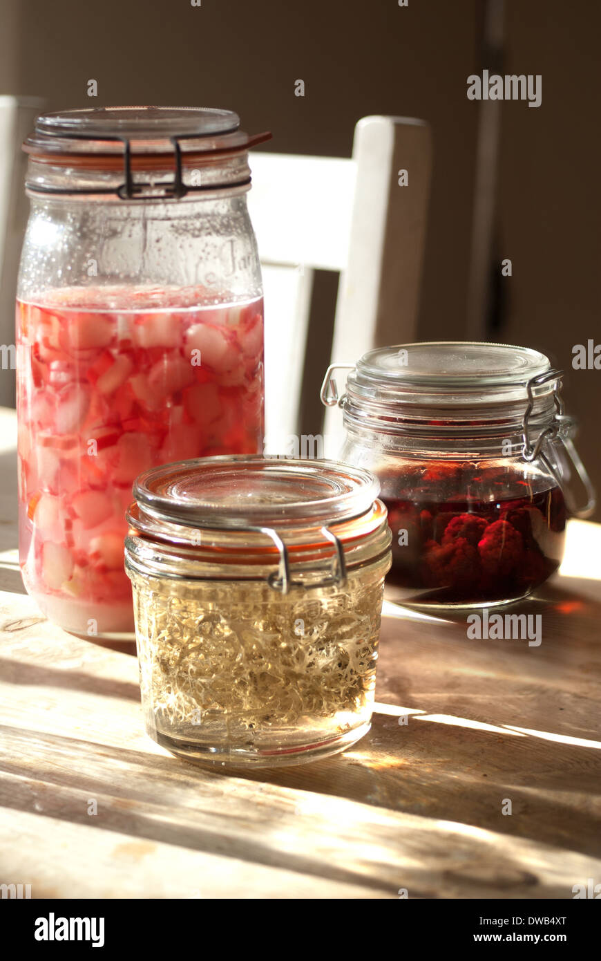 Rhubarb gin hi-res stock photography and images - Alamy