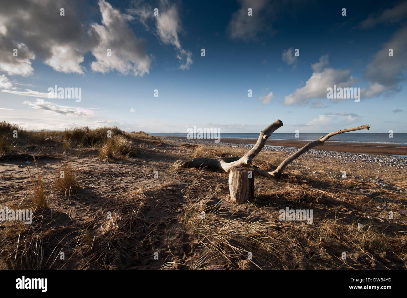 Gronant dunes local nature reserve hi-res stock photography and images ...