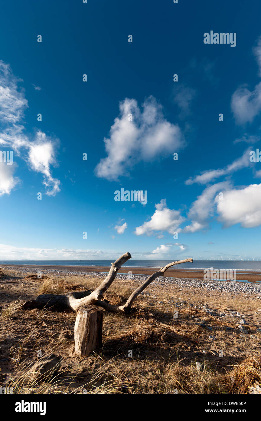 Gronant Dunes Local Nature Reserve at Prestatyn North Wales Stock Photo ...