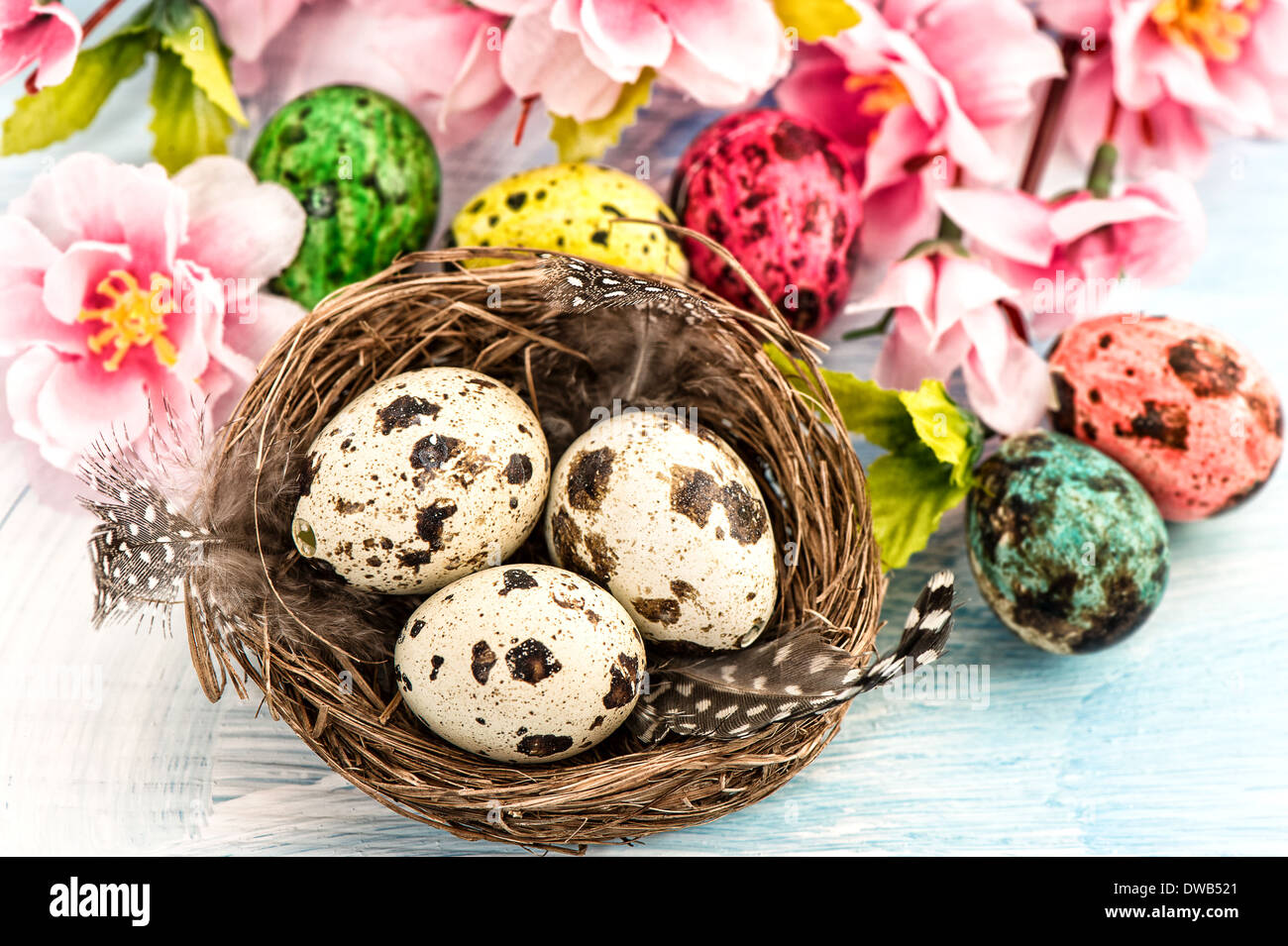 Easter eggs spring blooming hi-res stock photography and images - Alamy
