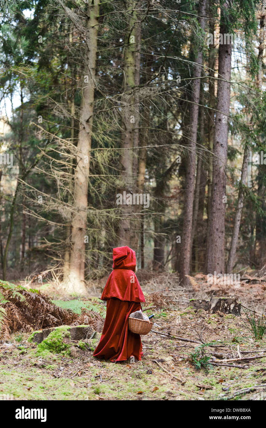 Little girl masquerade as Red Riding Hood standing in the wood Stock ...