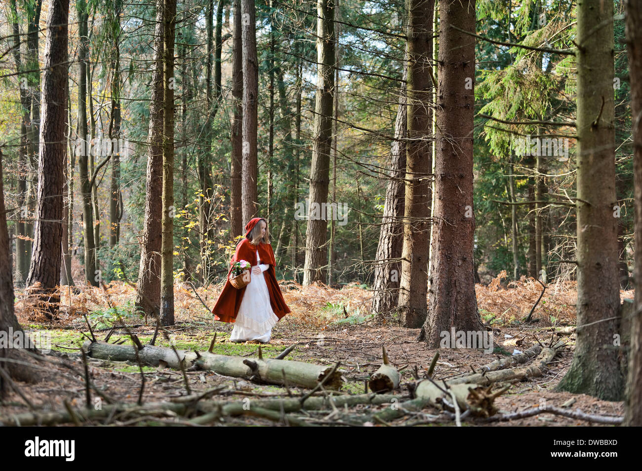 Girl masquerade as Red Riding Hood on the move in the wood Stock Photo ...