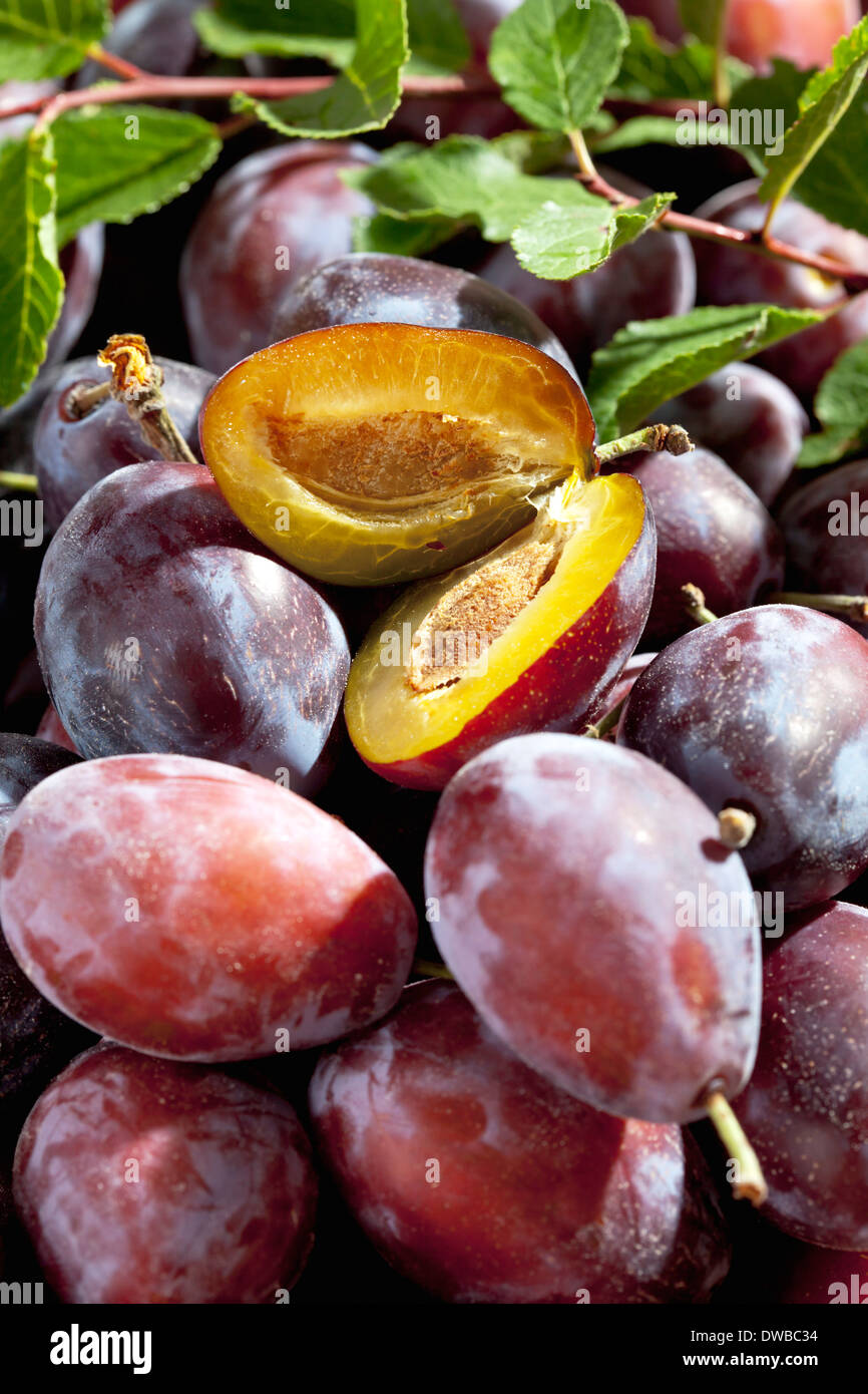 Plums, close up Stock Photo - Alamy