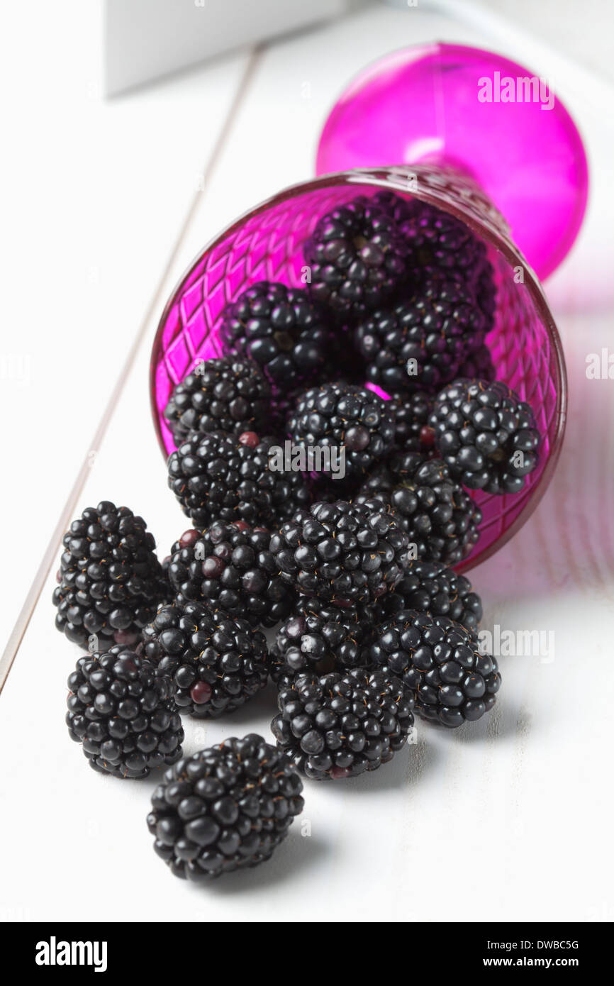 Blackberries, Rubus sectio Rubus, in a fallen bowl Stock Photo - Alamy