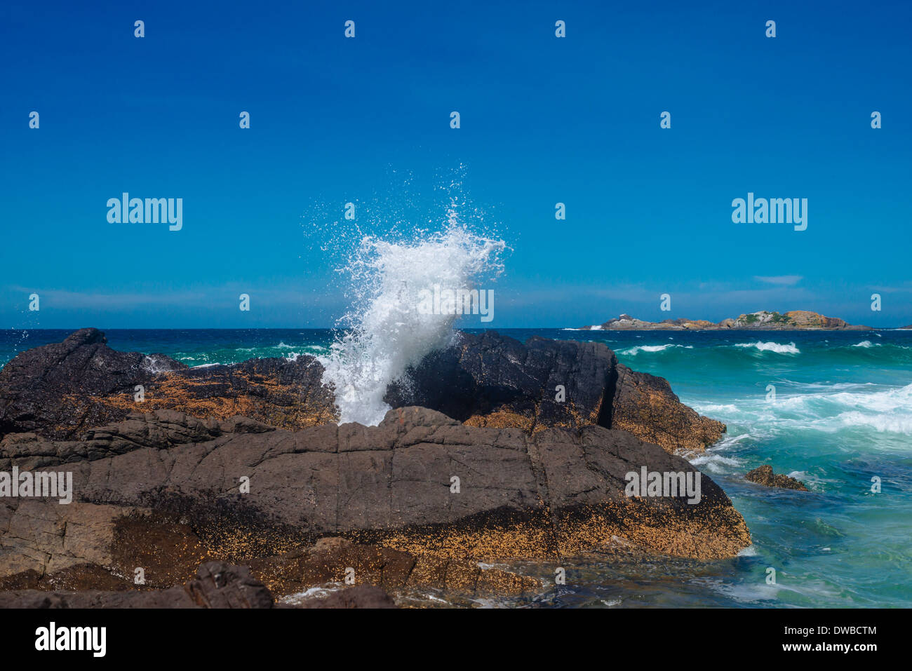 Seal foam hi-res stock photography and images - Alamy