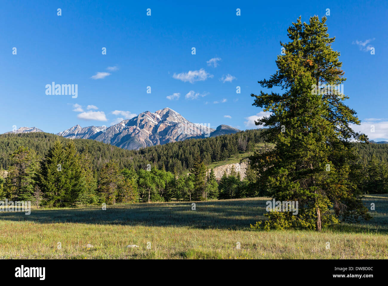 Canada, Alberta, Jasper National Park, landscape at Icefields Parkway ...