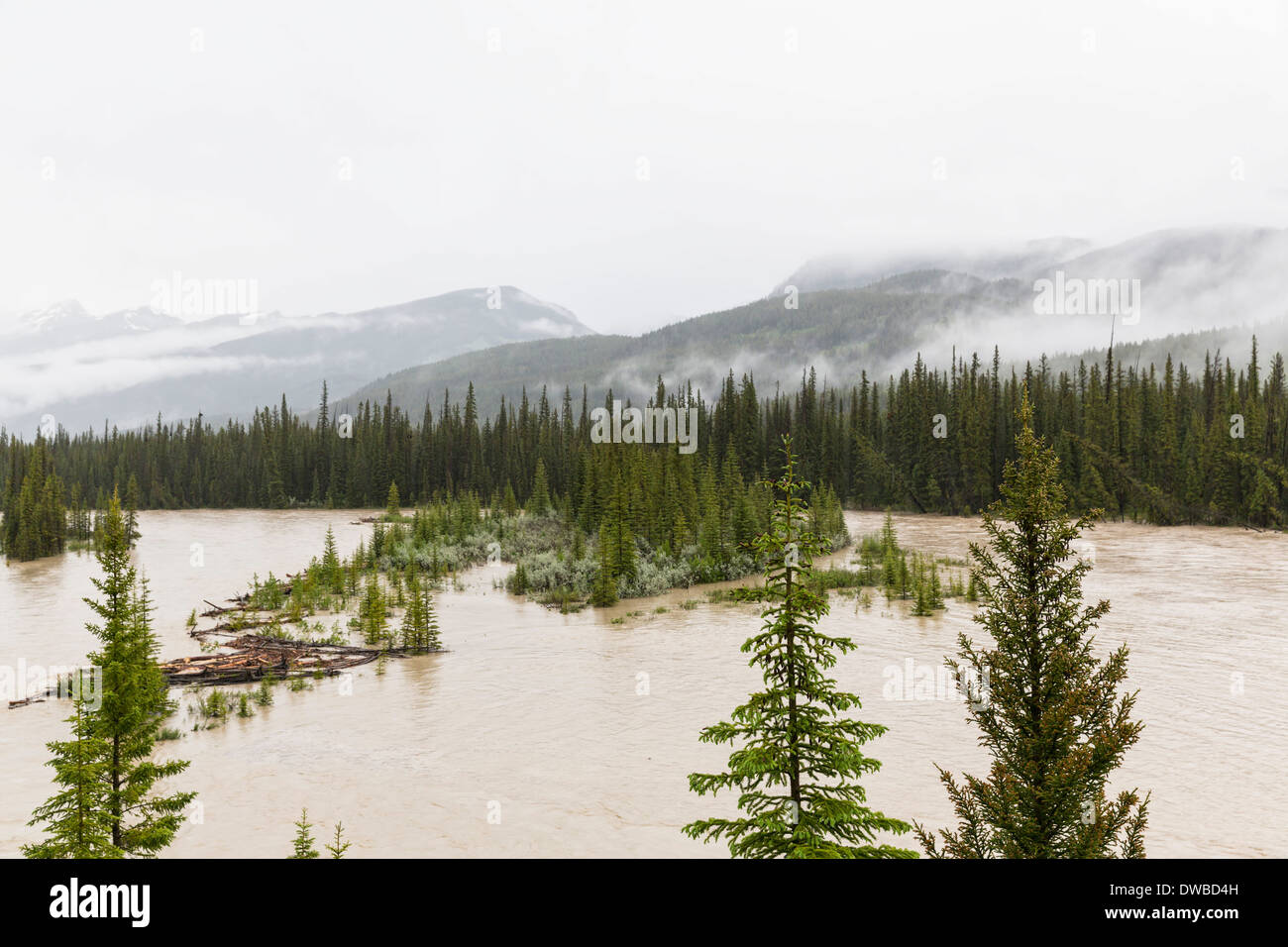 Canada, Alberta, Rocky Mountains, Banff National Park, flooding in the ...