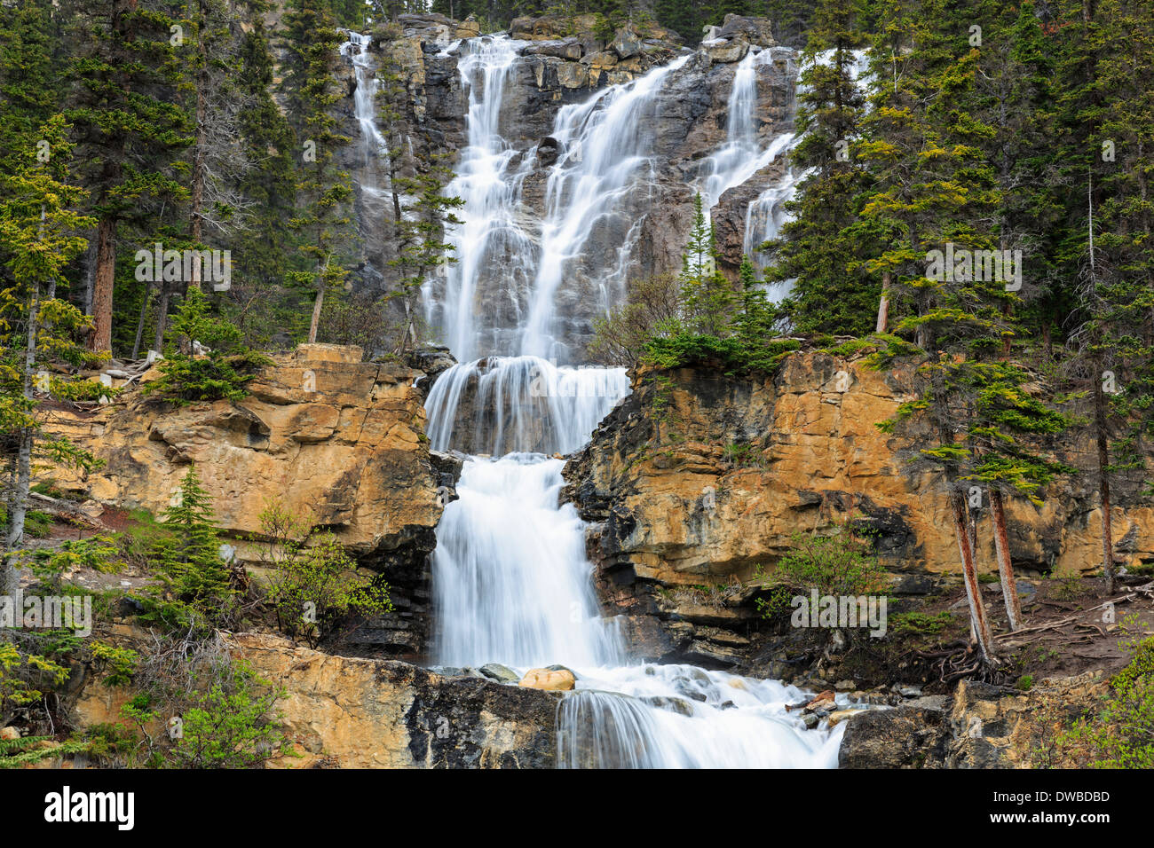Tangle Falls