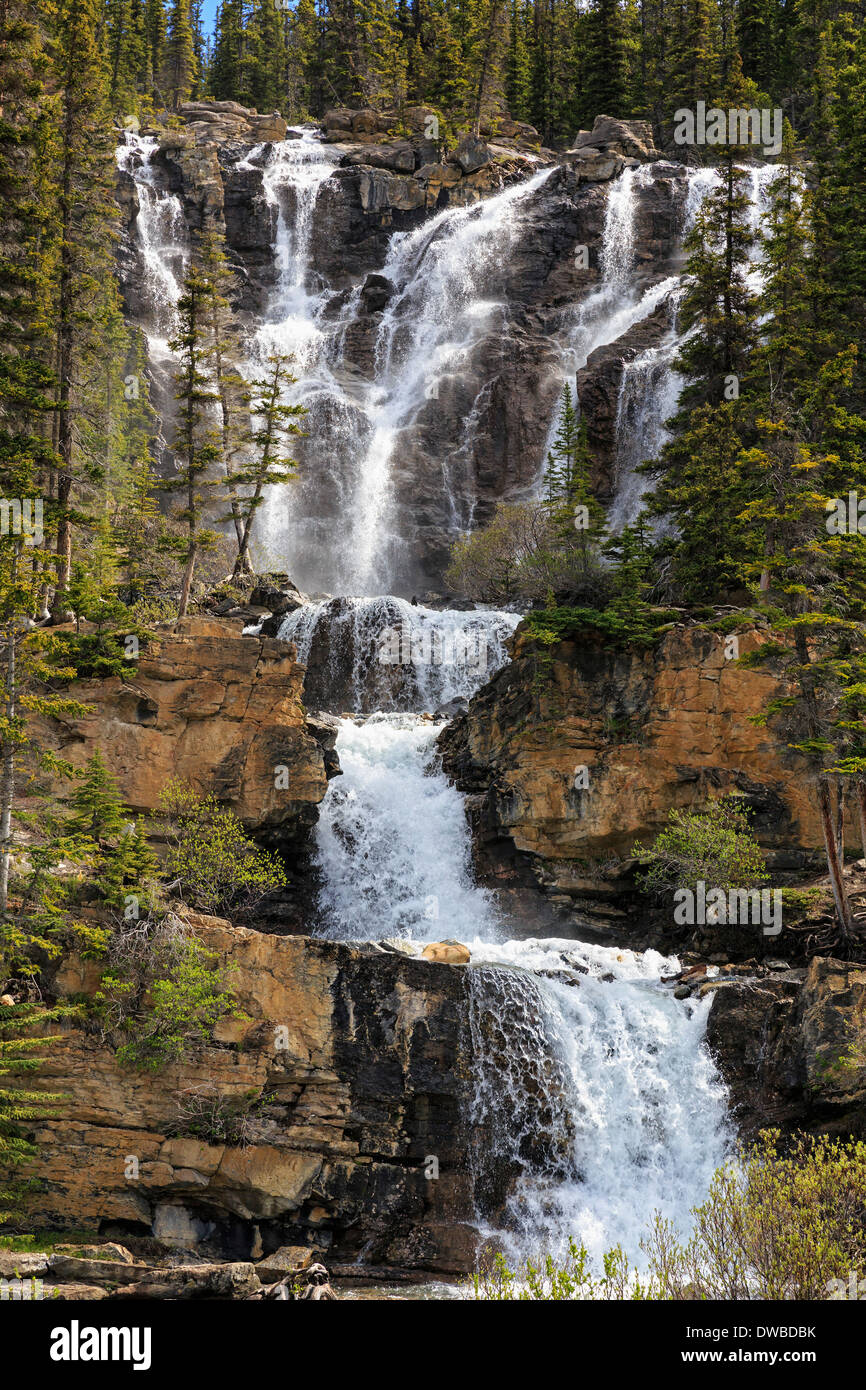 Canada, Alberta, Jasper National Park, Tangle Creek Falls Stock Photo ...