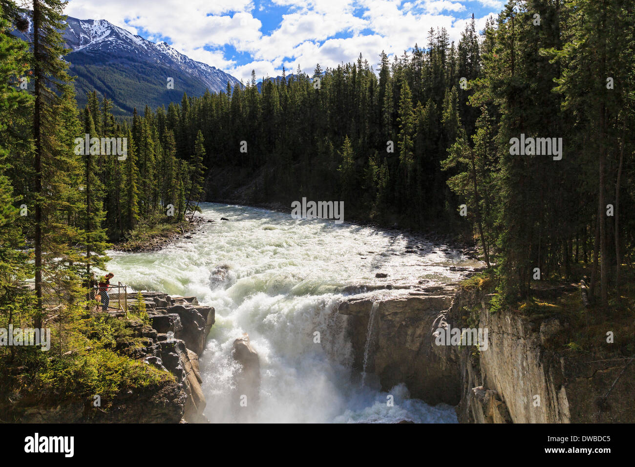 Canada, Alberta, Jasper National Park, Sunwapta Falls, Sunwapta River ...