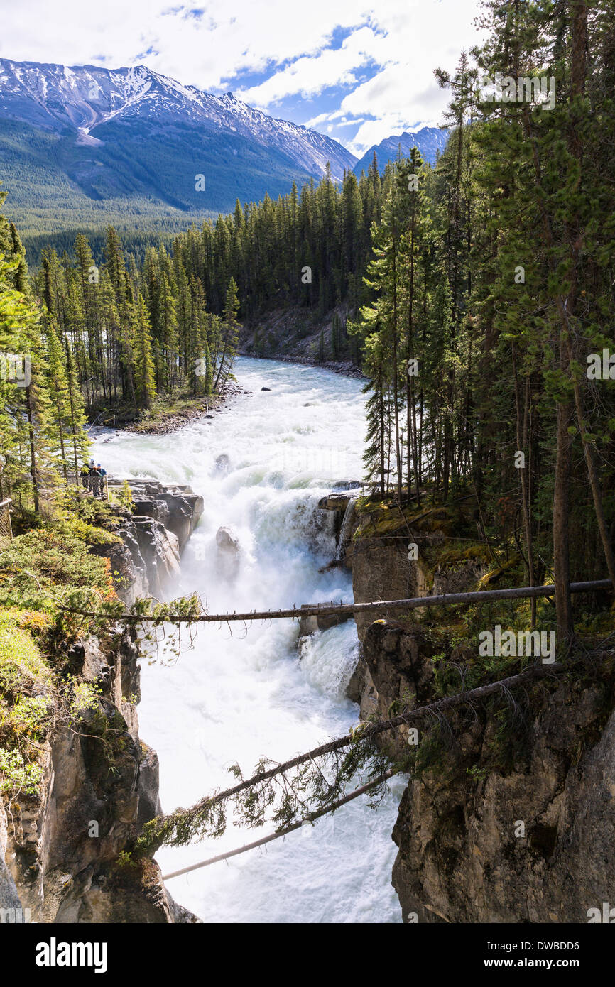Canada, Alberta, Jasper National Park, Sunwapta Falls, Sunwapta River ...