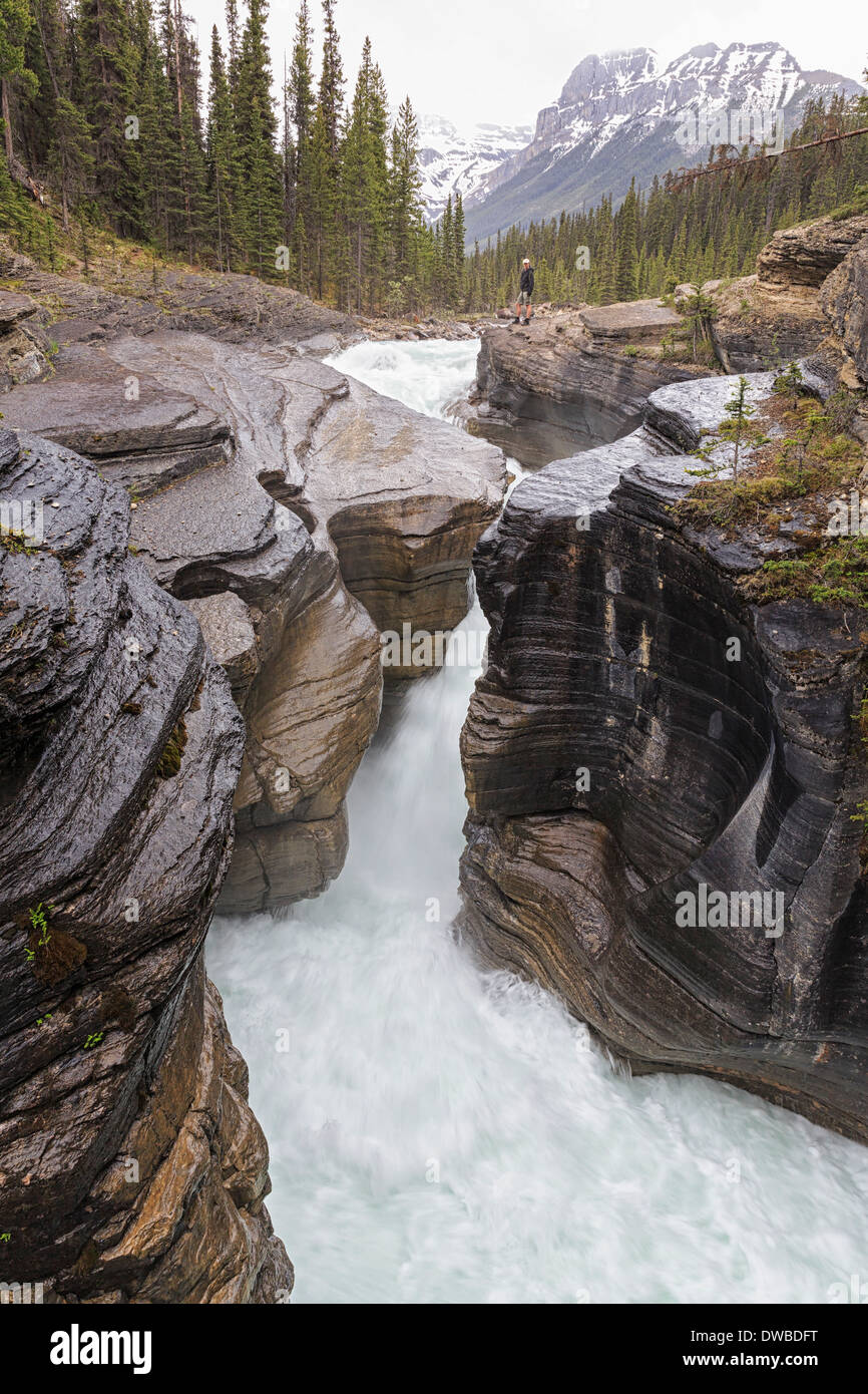 Canada, Alberta, Banff National Park, Icefields Parkway, , Mistaya ...