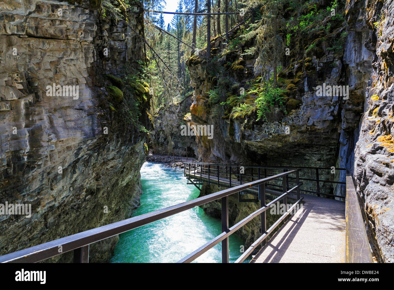 Canada, Alberta, Banff National Park, Johnston Creek, Johnston Canyon ...