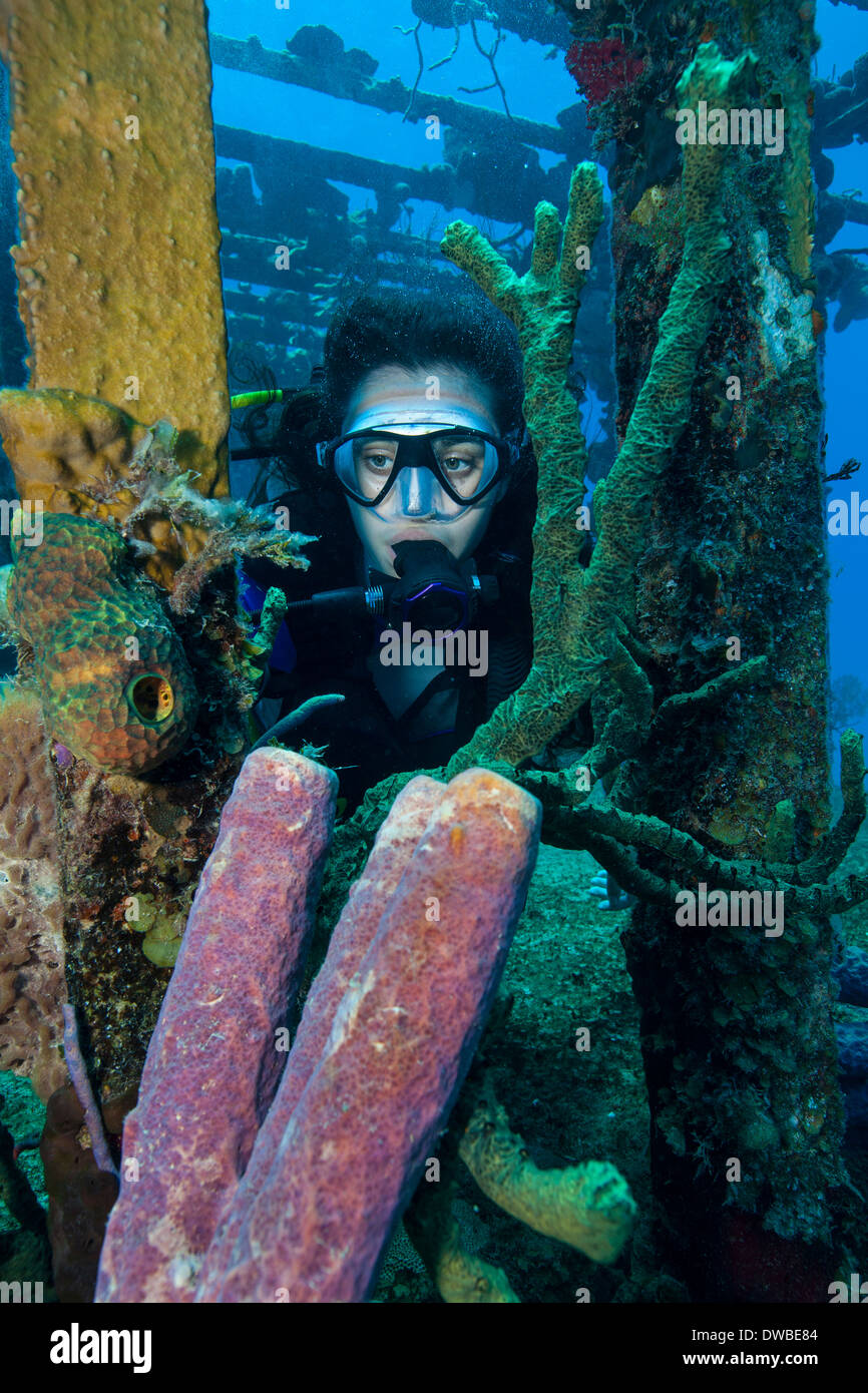 Diver on shipwreck Stock Photo - Alamy