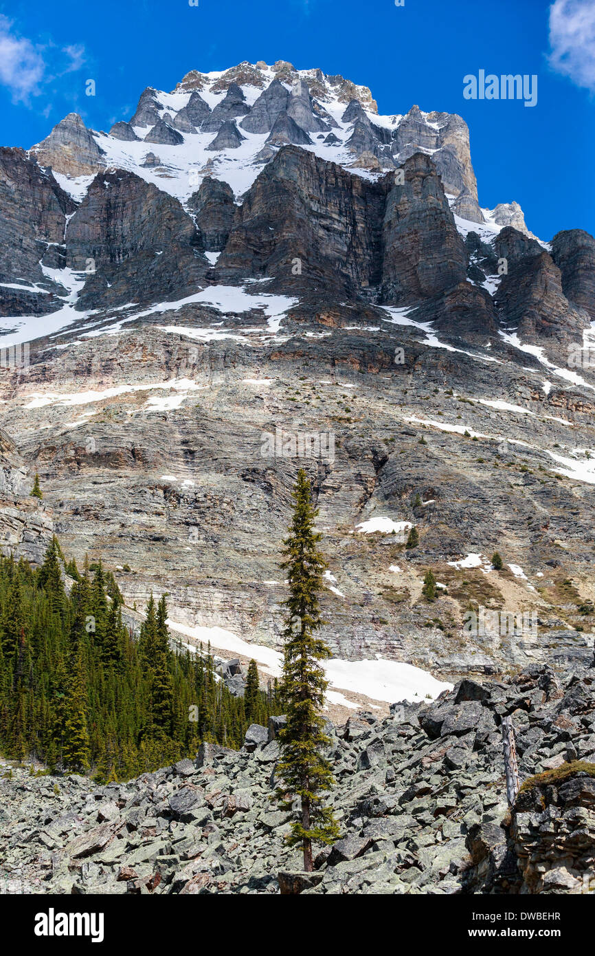 Canada, British Columbia, Yoho Nationalpark, Mount Huber Stock Photo ...