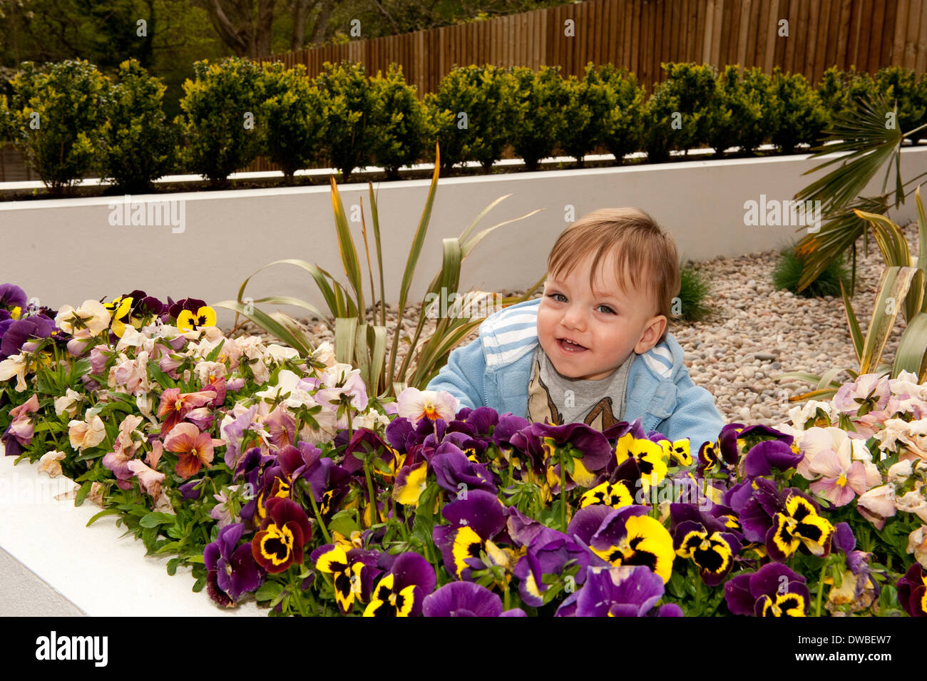 Child in garden with colorful flowers Stock Photo - Alamy