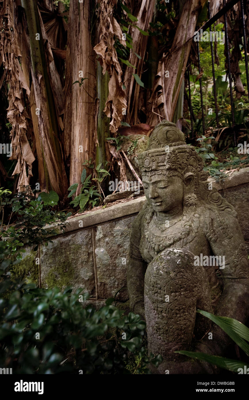 Ancient statue in the forest Stock Photo - Alamy