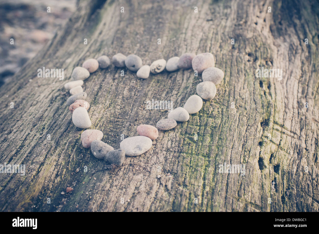 Stones forming heart on tree trunk Stock Photo - Alamy