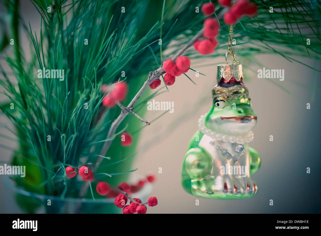 Hanging frog green tree frog hi-res stock photography and images - Alamy