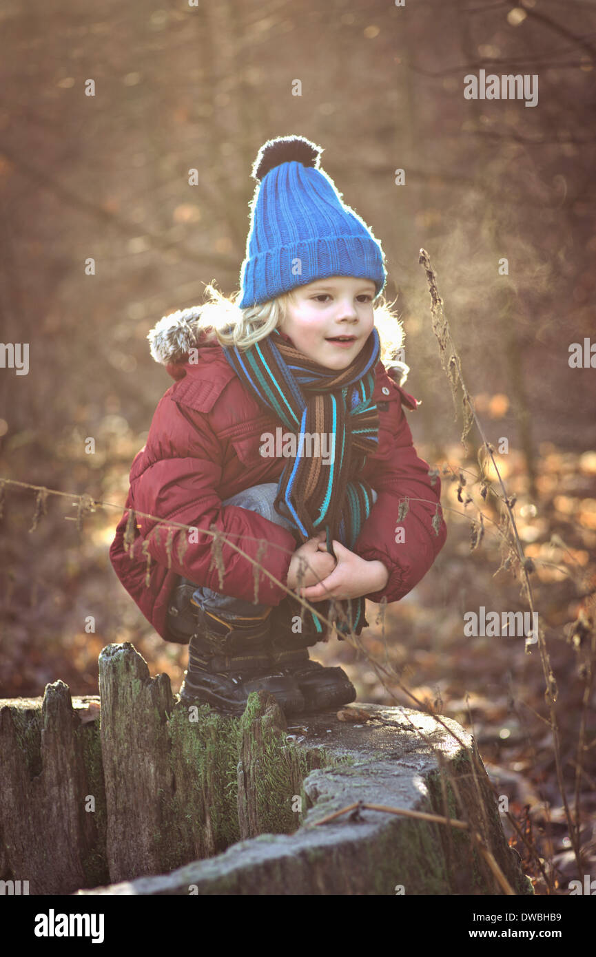 Appearance of the stump hi-res stock photography and images - Alamy