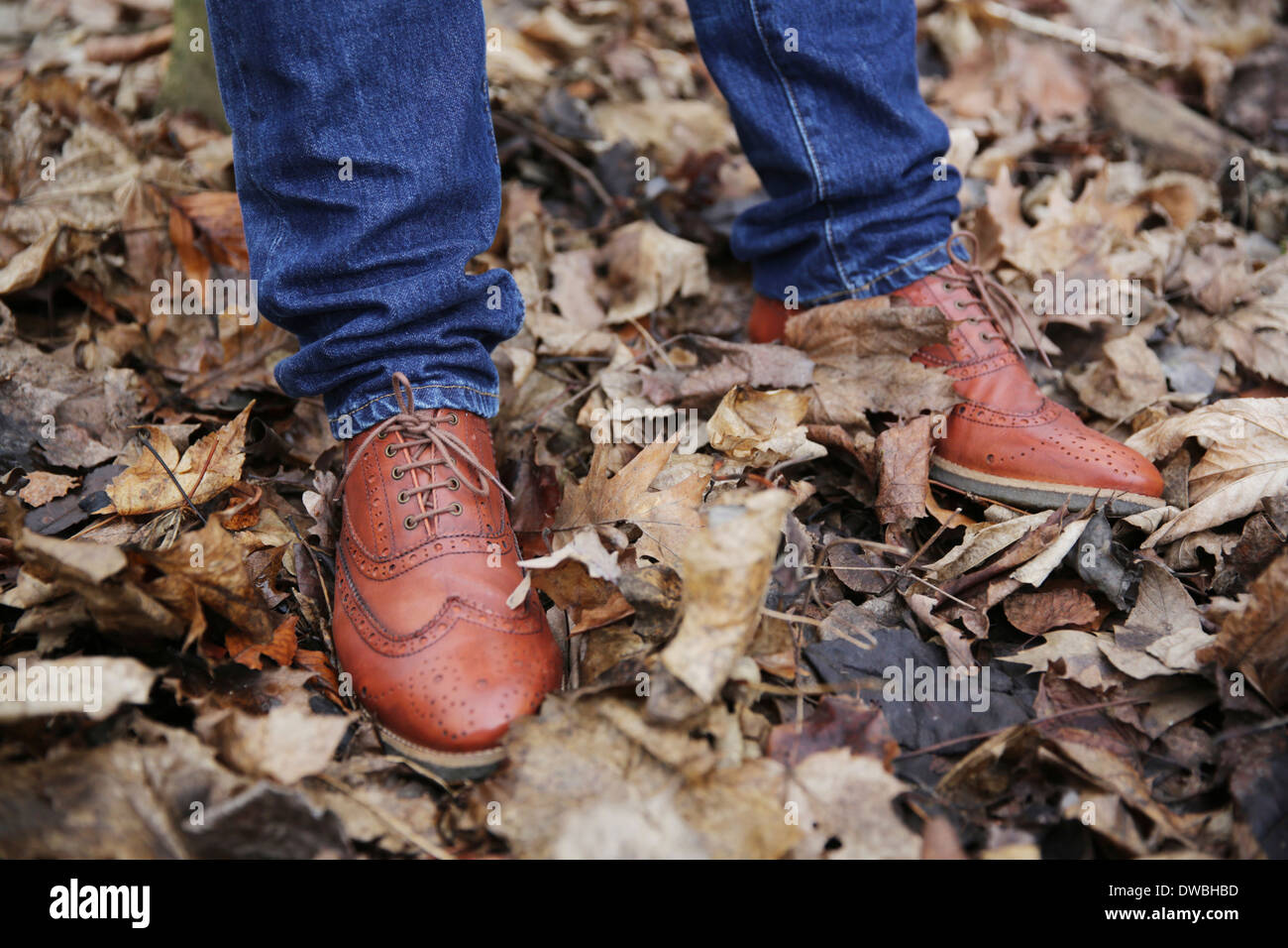 Precious leather shoes of man standing in the wood Stock Photo - Alamy