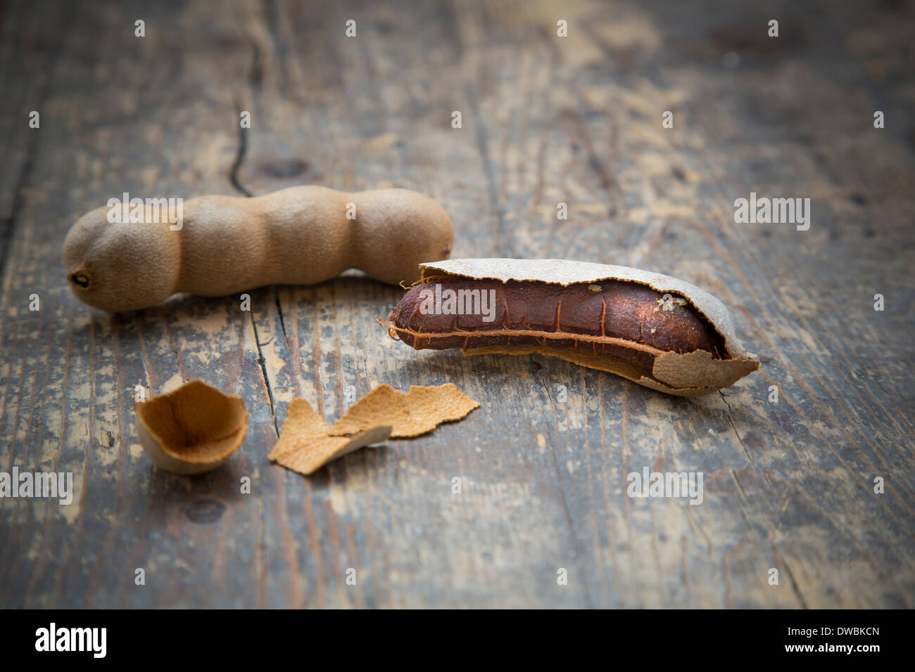 Tamarinds indica hi-res stock photography and images - Alamy
