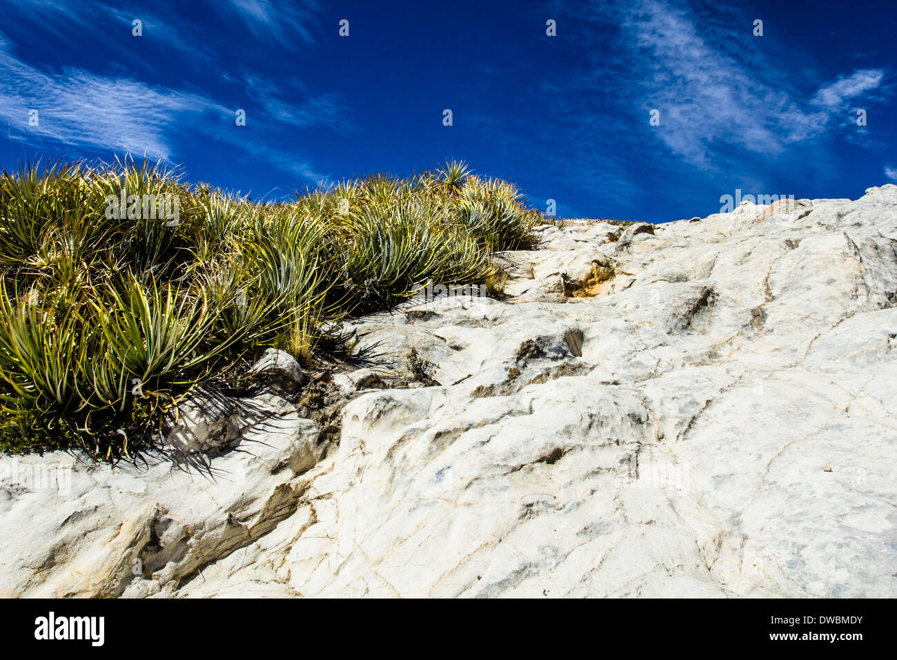 Isla del Sol on the Titicaca lake, Bolivia Stock Photo - Alamy