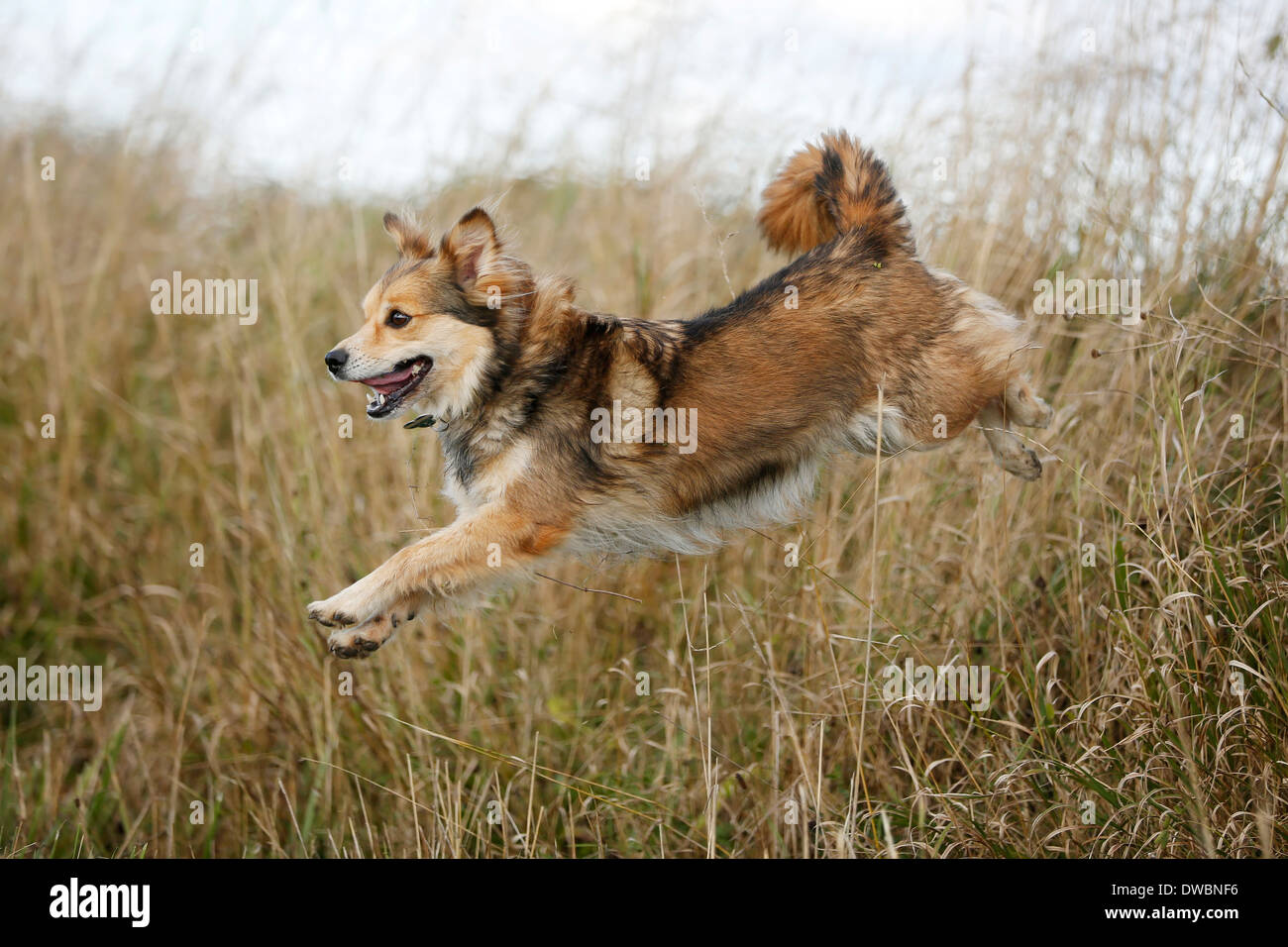 Ditch people hi-res stock photography and images - Alamy