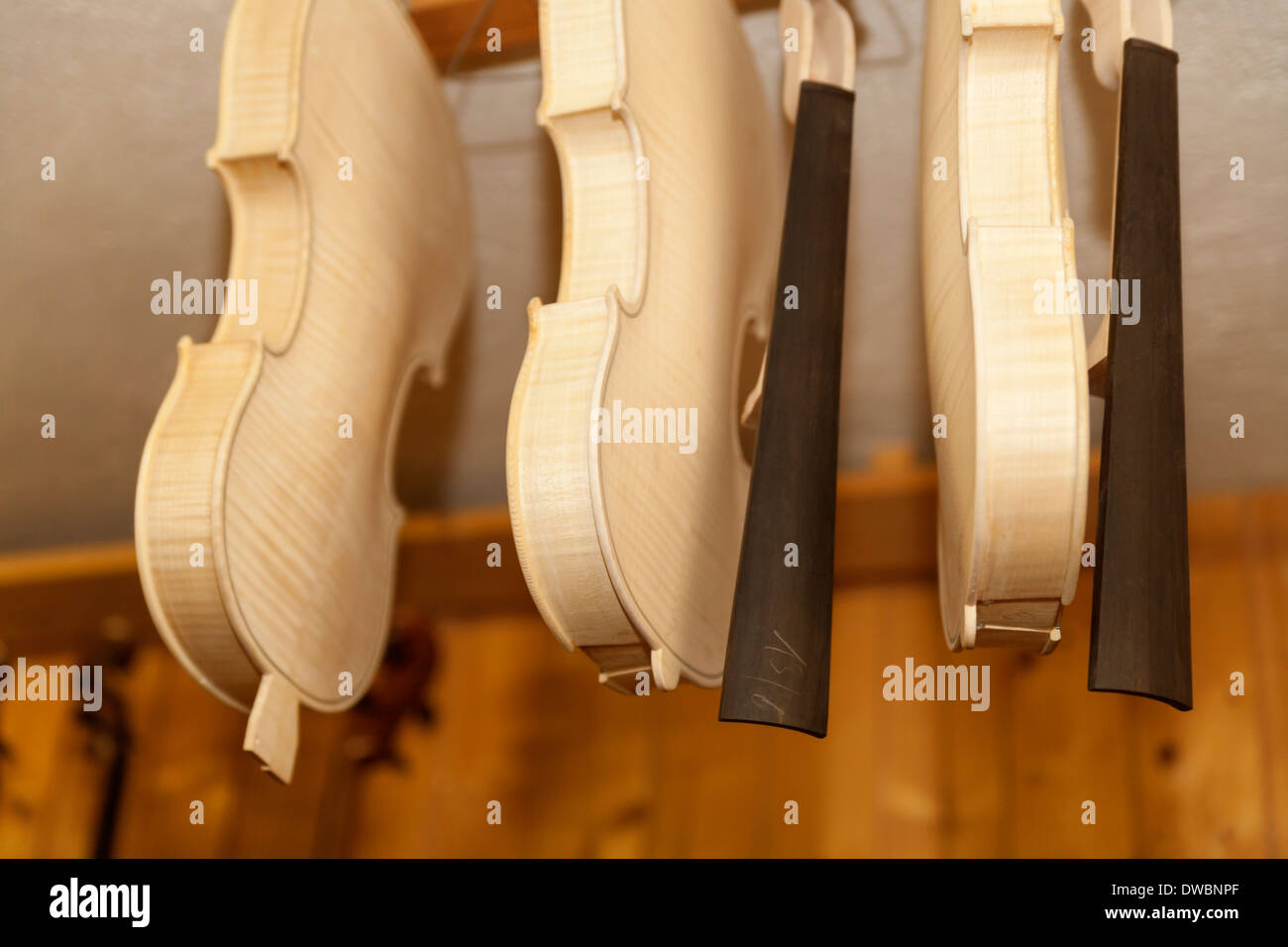 Unfinished violins in a violin maker's workshop Stock Photo - Alamy
