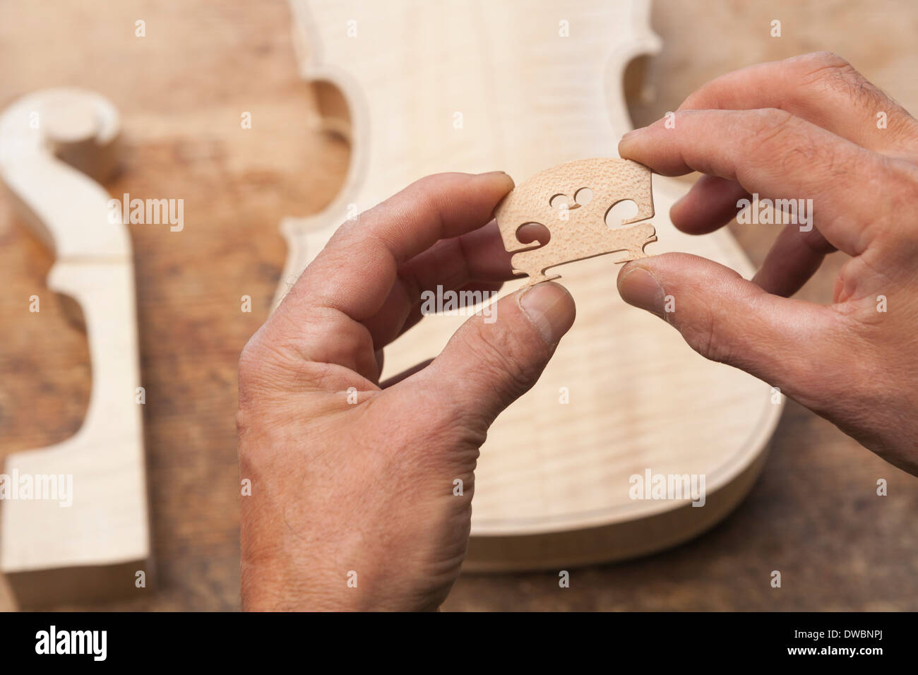 Violin maker at work Stock Photo - Alamy