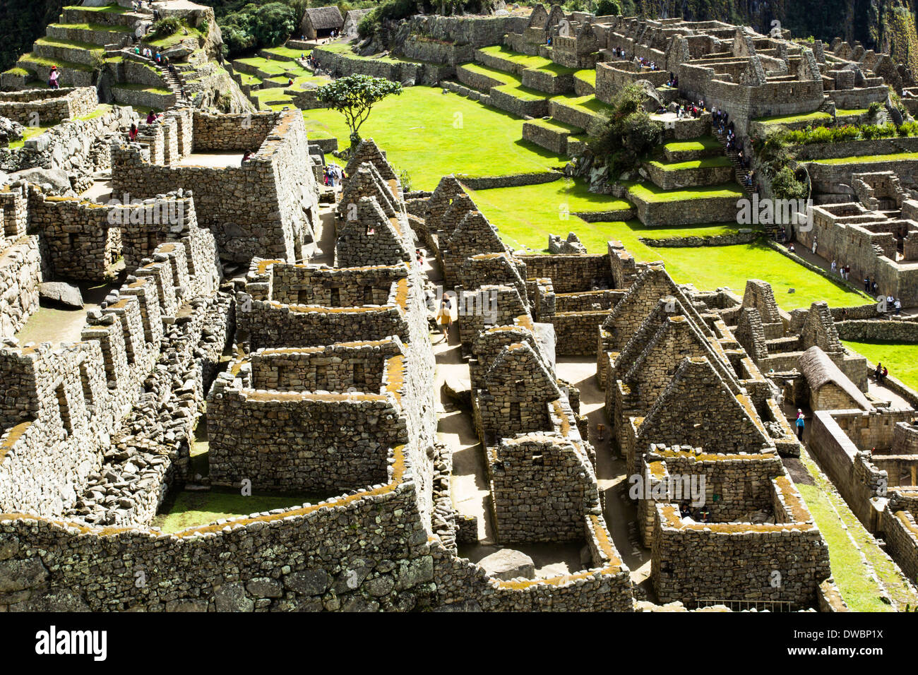 Machu Picchu, the ancient Inca city in the Andes, Peru Stock Photo - Alamy