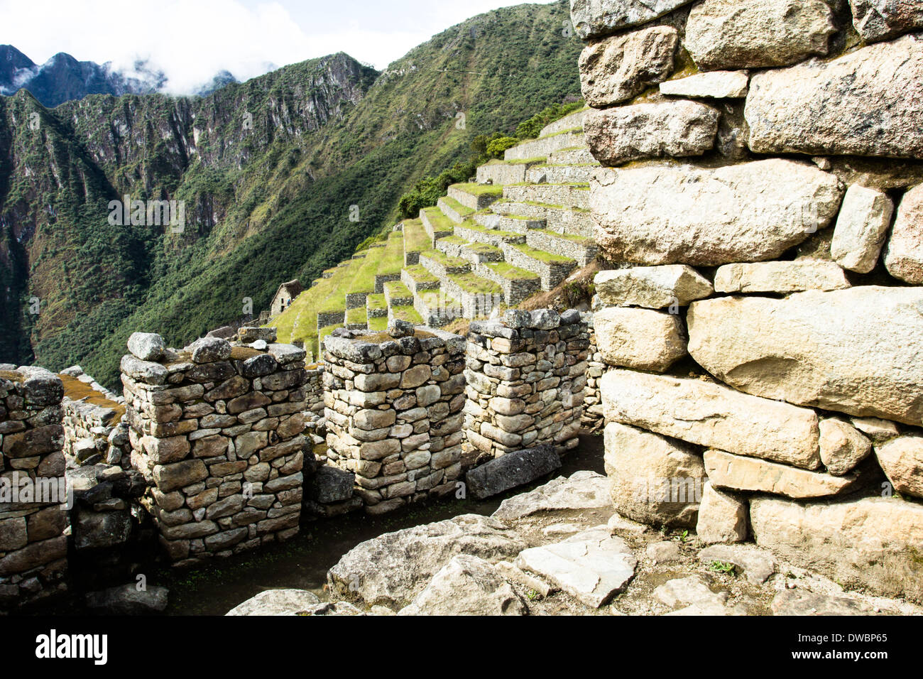 Machu Picchu, the ancient Inca city in the Andes, Peru Stock Photo - Alamy
