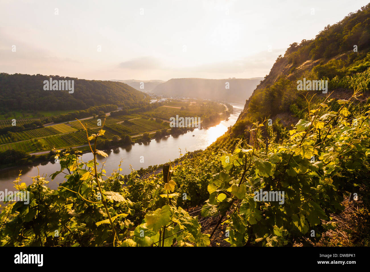 Dieblich hi-res stock photography and images - Alamy