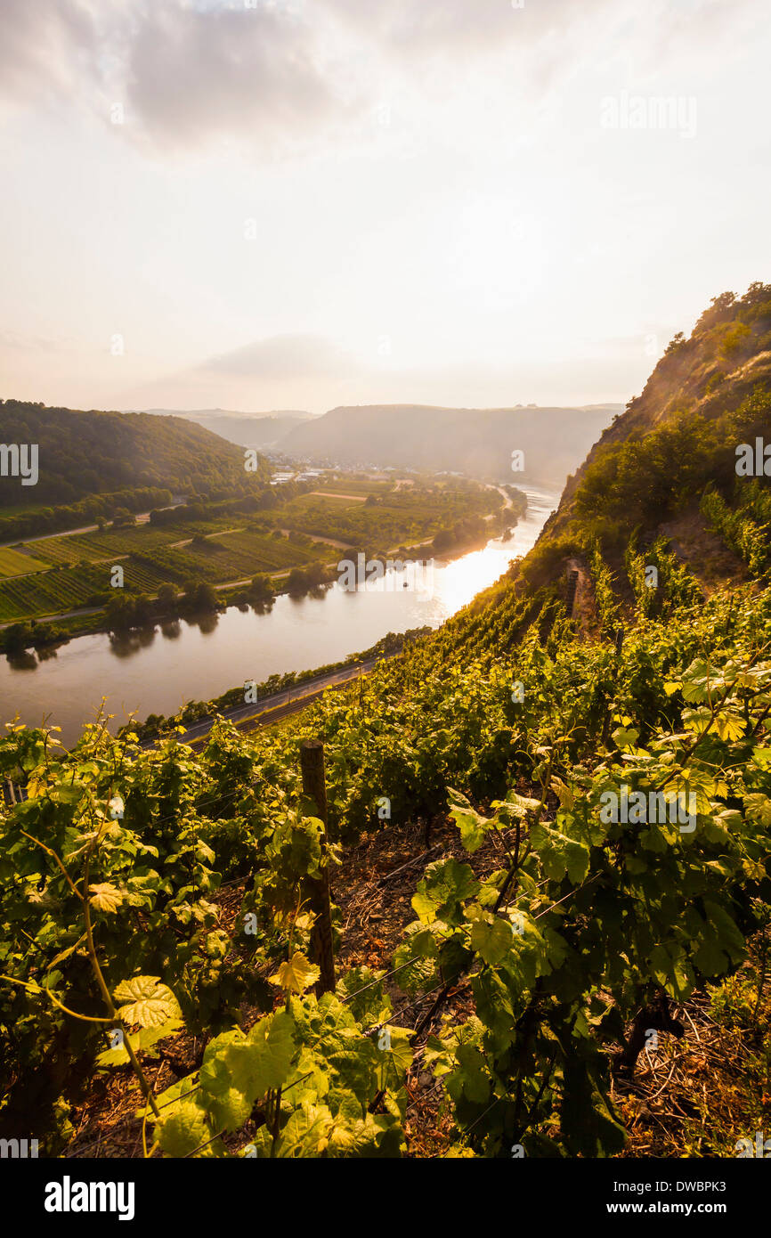 Dieblich hi-res stock photography and images - Alamy