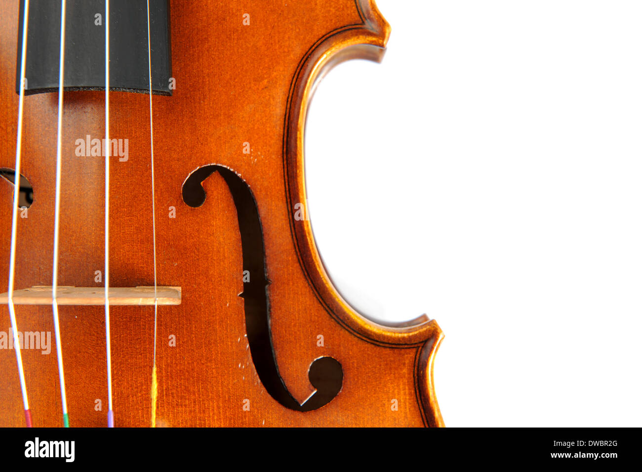 Classical vilolin on white background Stock Photo - Alamy