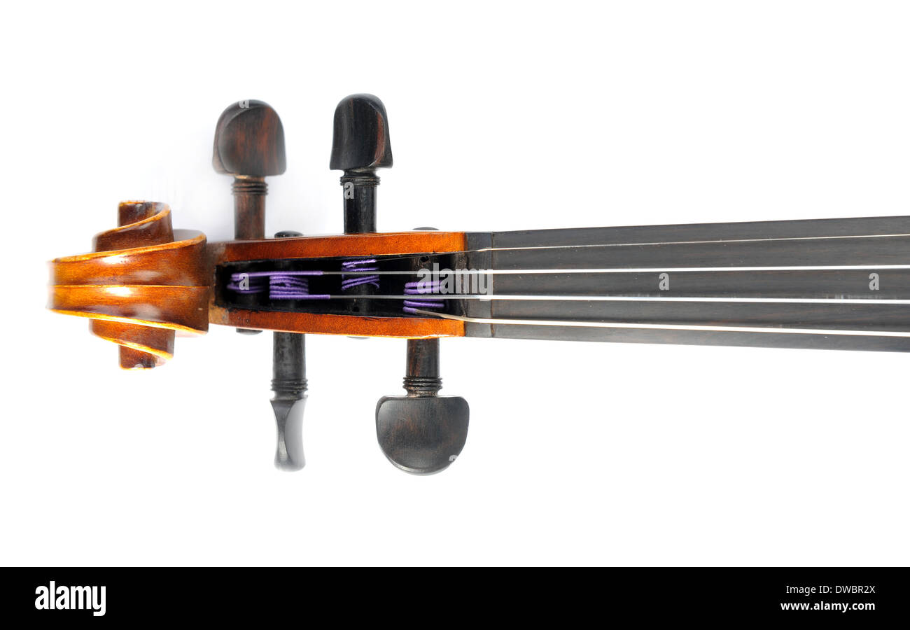 Classical vilolin on white background Stock Photo - Alamy