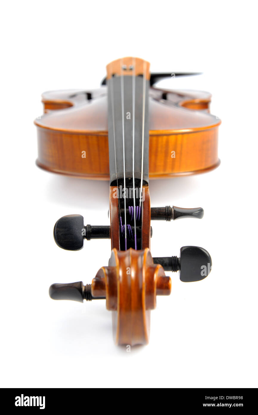Classical vilolin on white background Stock Photo - Alamy