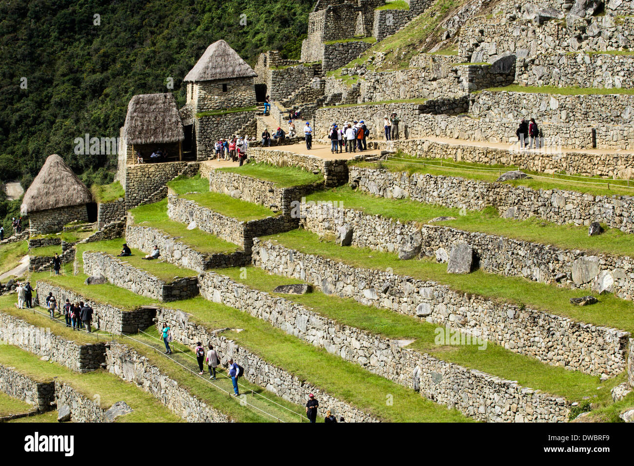 Machu Picchu, the ancient Inca city in the Andes, Peru Stock Photo - Alamy
