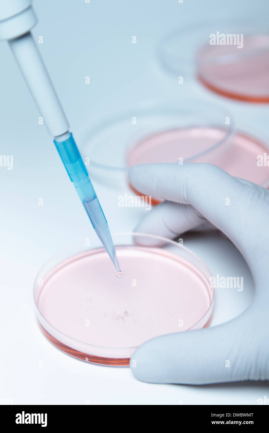 Micropipette hi-res stock photography and images - Alamy